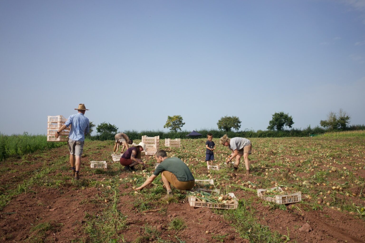Every Bite Counts - Devon Food Partnership